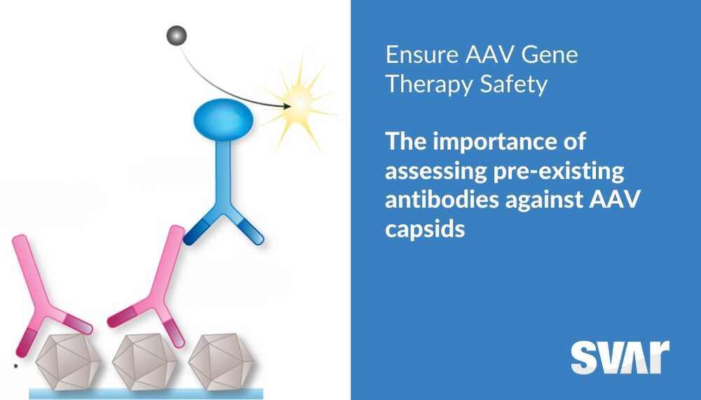 Optimizing AAV Gene Therapy with Total Antibody Assessment